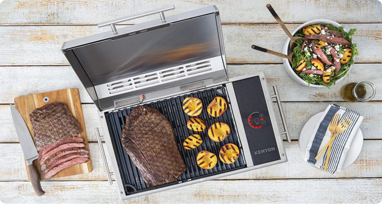 Best Electric Grill For Barbecue Lovers - Penna Electric